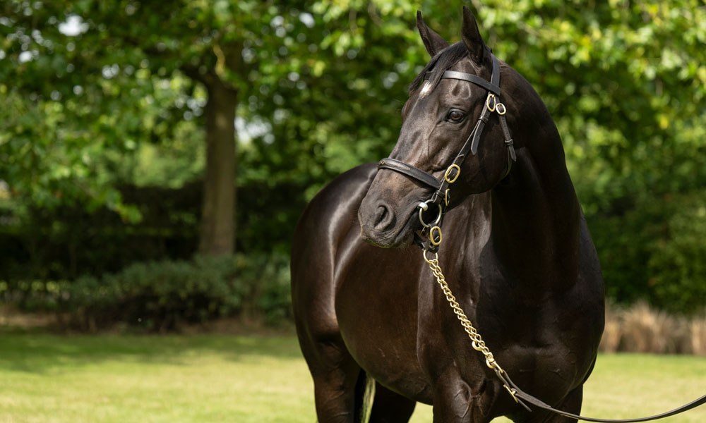 Mohaather - Shadwell